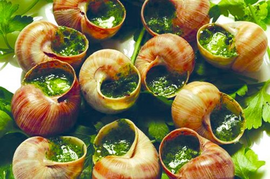 ისტორიკოსი ცოლ-ქმრის ლოკოკინების ფერმა ახალციხეში | BPN.GE