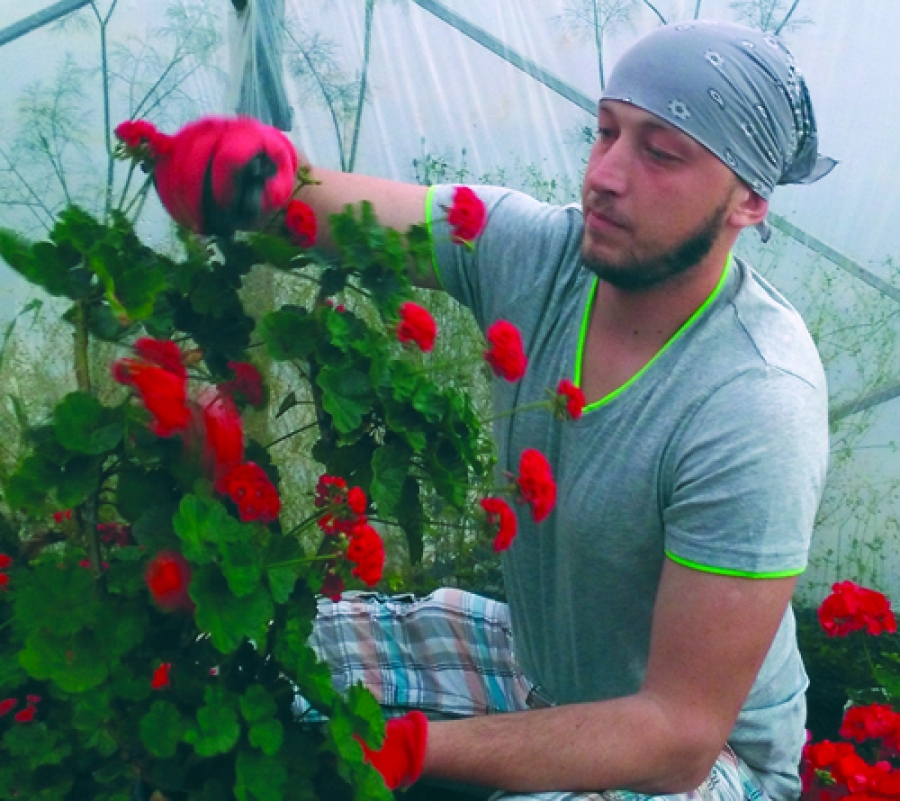 იშვიათი ყვავილების სათბური თბილისში | BPN.GE