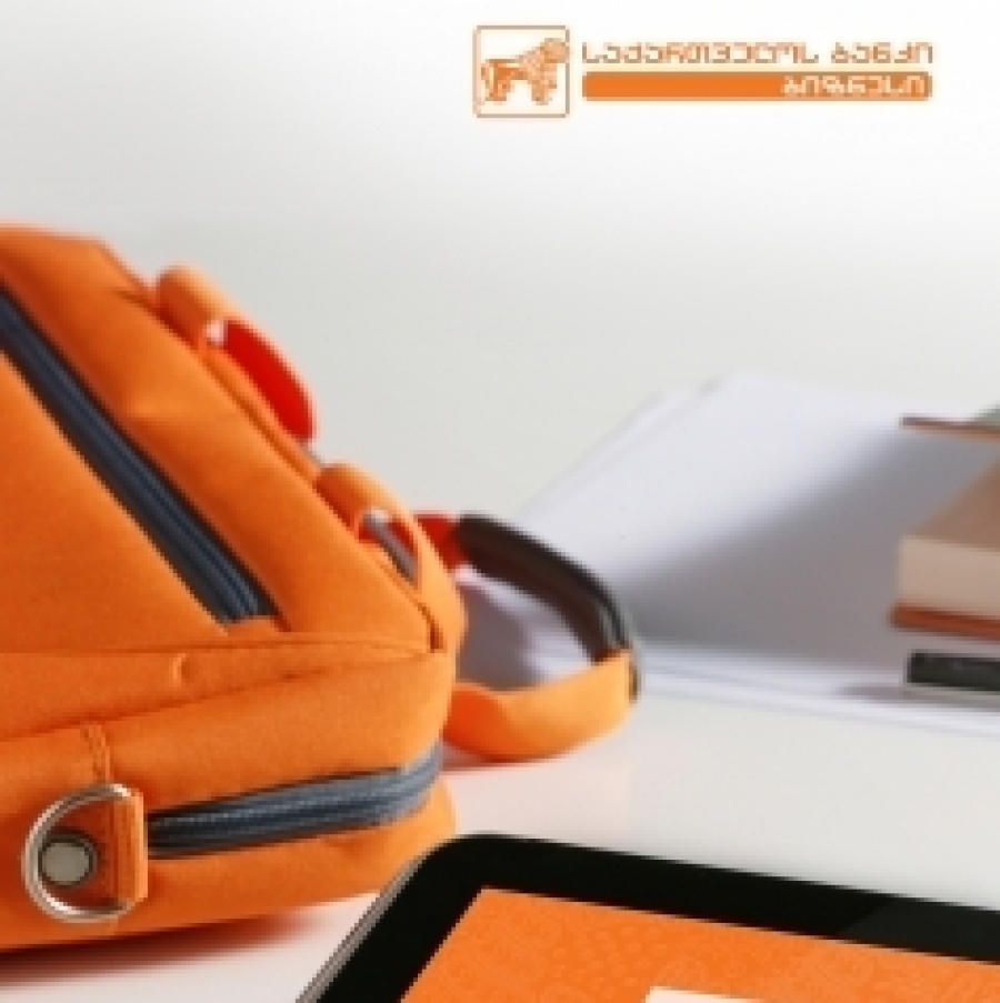 ”საქართველოს ბანკი” მცირე ბიზნესის წარმომადგენლებს სწრაფ ბიზნესსესხს ...