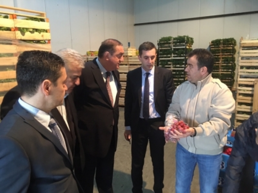 კონსორციუმი SU MARKETS საქართველოში შემოსვლას გეგმავს | BPN.GE