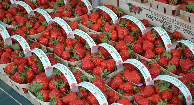 საქართველოს მარწყვის იმპორტი თითქმის 6-ჯერ გაუძვირდა - რა ფასად ...