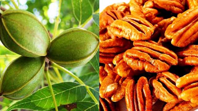 „ის რაოდენობა, რაც მოთხოვნას დააკმაყოფილებს, ფიზიკურად არ გვაქვს“ - სად ...