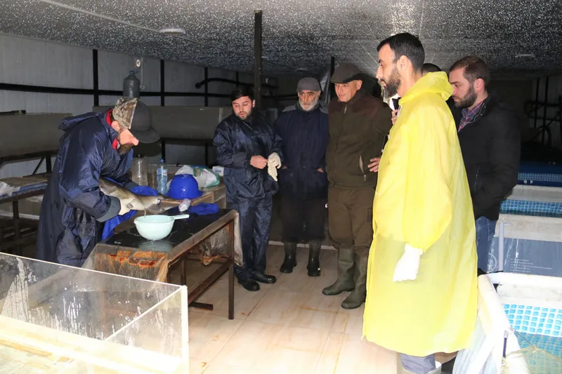 გარემოს დაცვის სამინისტრო - ველური ბუნების სააგენტოს მდინარის კალმახის ...