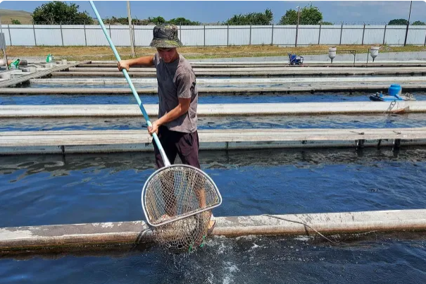 ზემო ლარსის ექო: რატომ აგრძელებს ჩრდილოეთ ოსეთი ძილის რეჟიმში ცხოვრებას ...